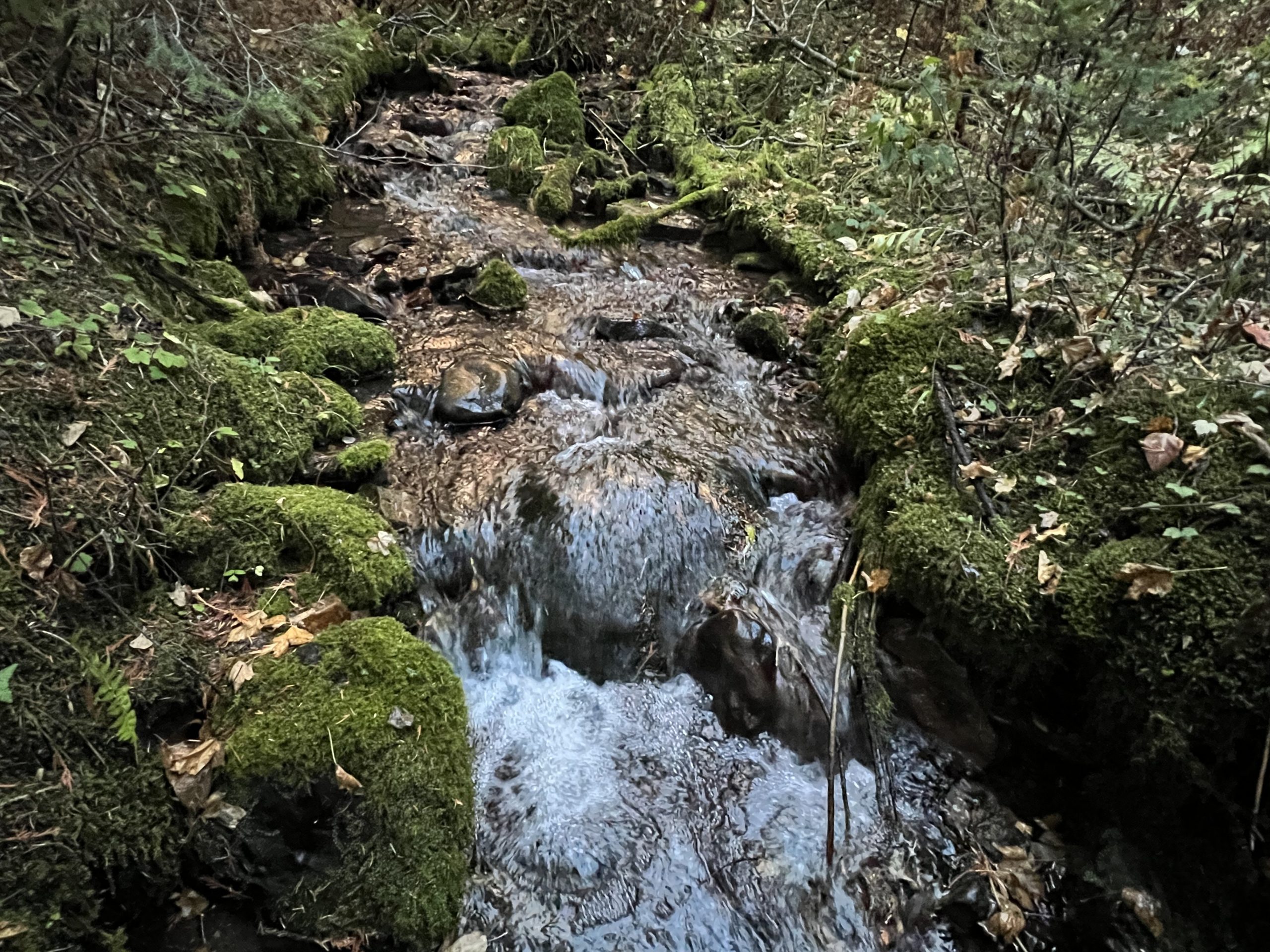 About - Galloway Lands - Fernie BC