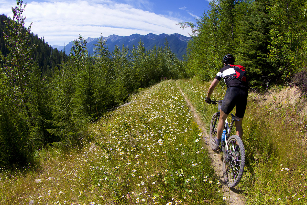 Contact - Galloway Lands - Fernie BC